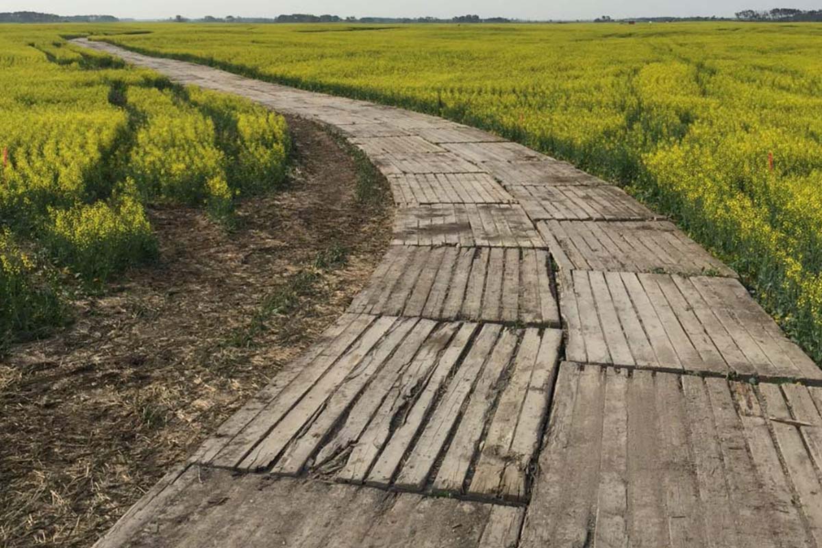 Rig Mat Road and Lease Builds - CORE Industrial